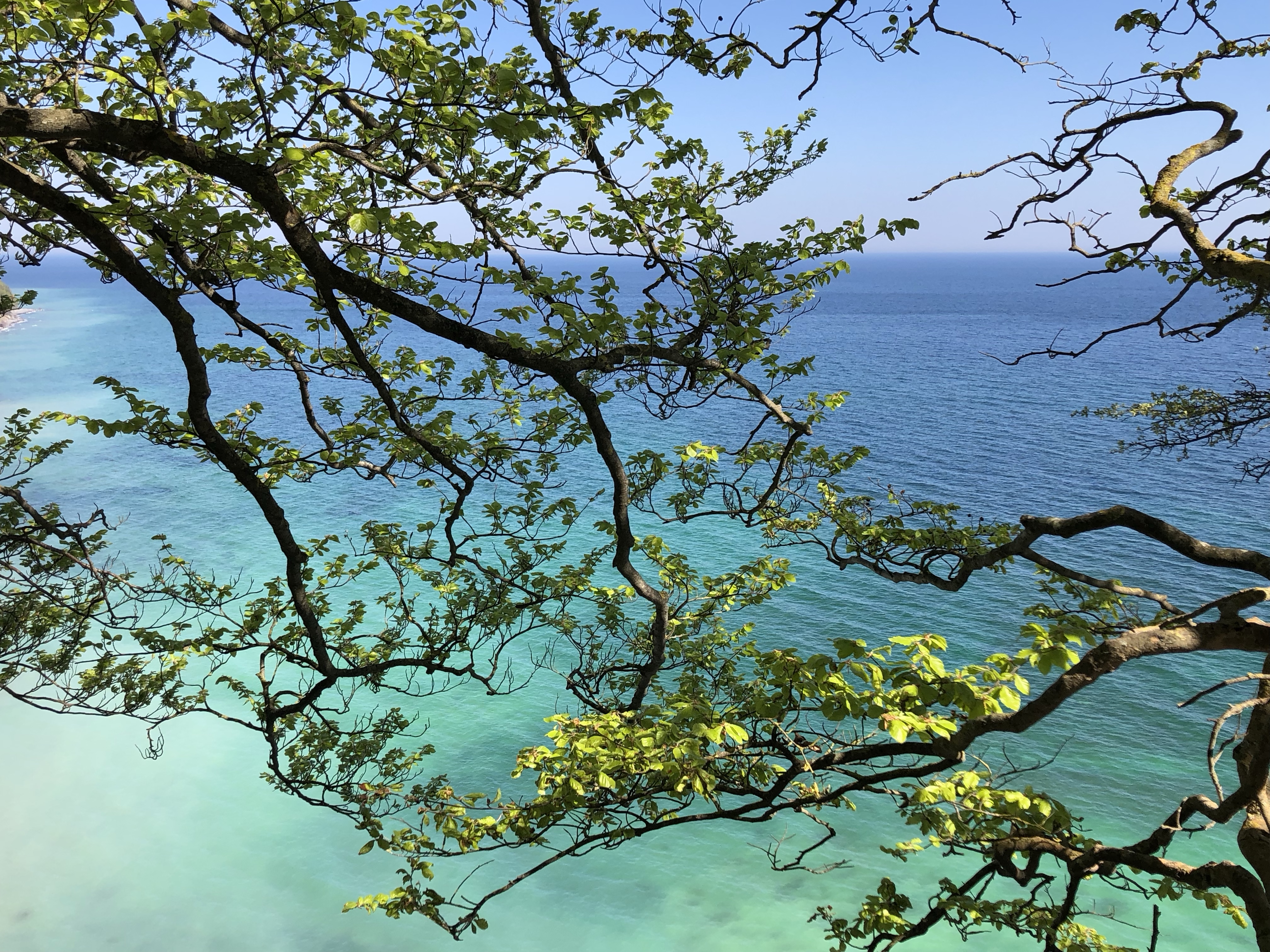 Turquoise Water – May 12, 2023 – Linda Scandore